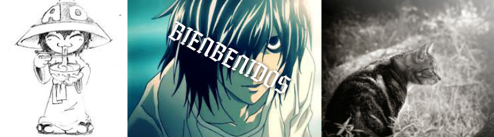 Aviso a los visitantes :: alex and pote